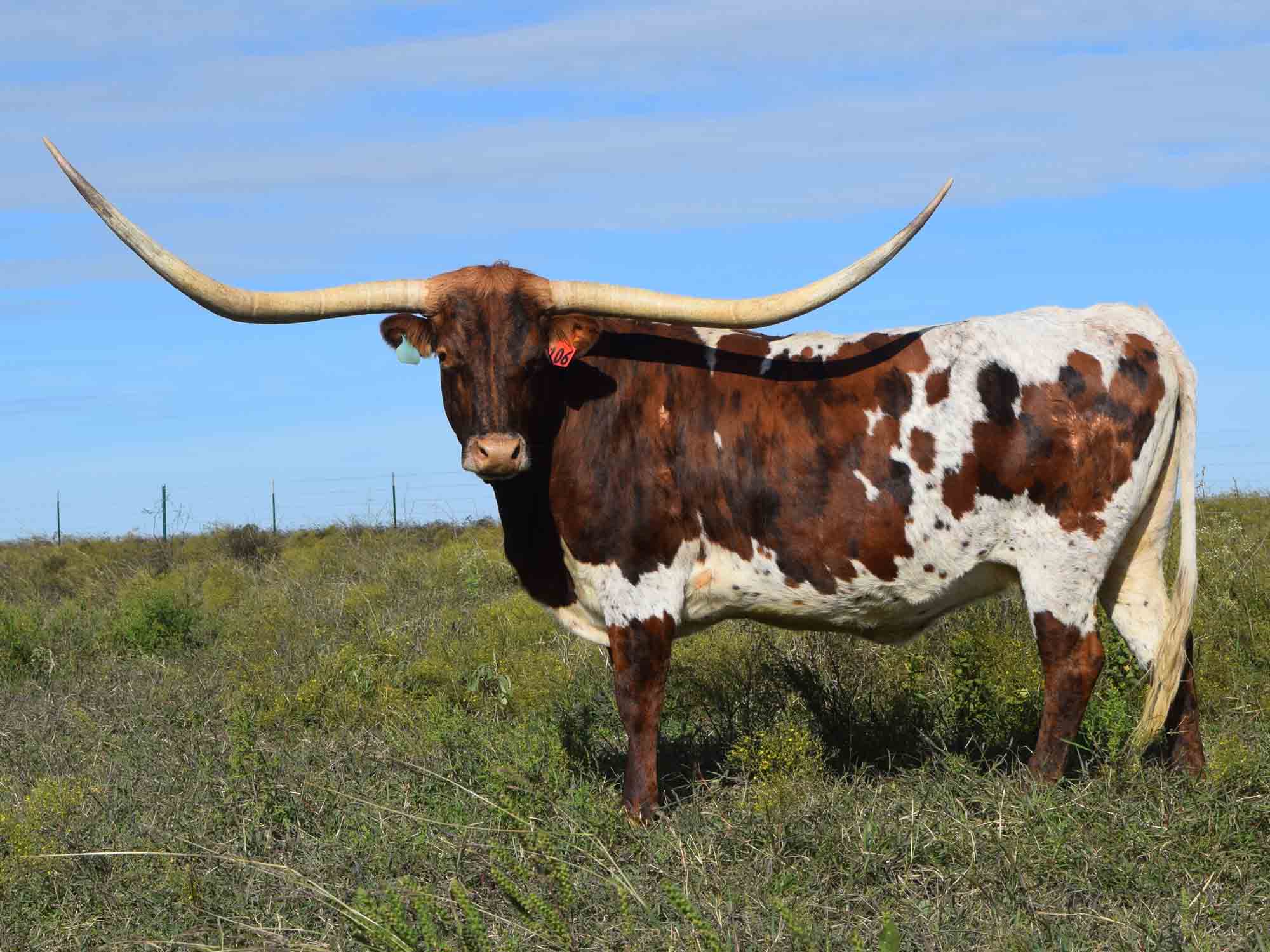Rocking O Ranch - LLL Max's Rave